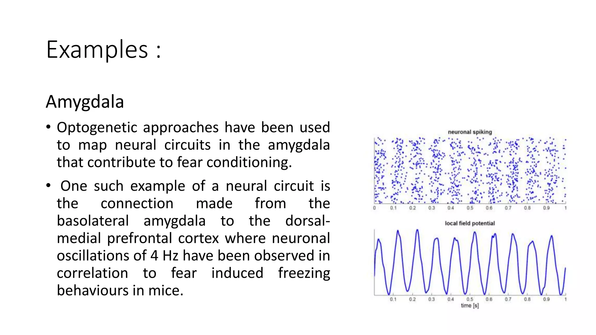 Optogenetics | PPTX