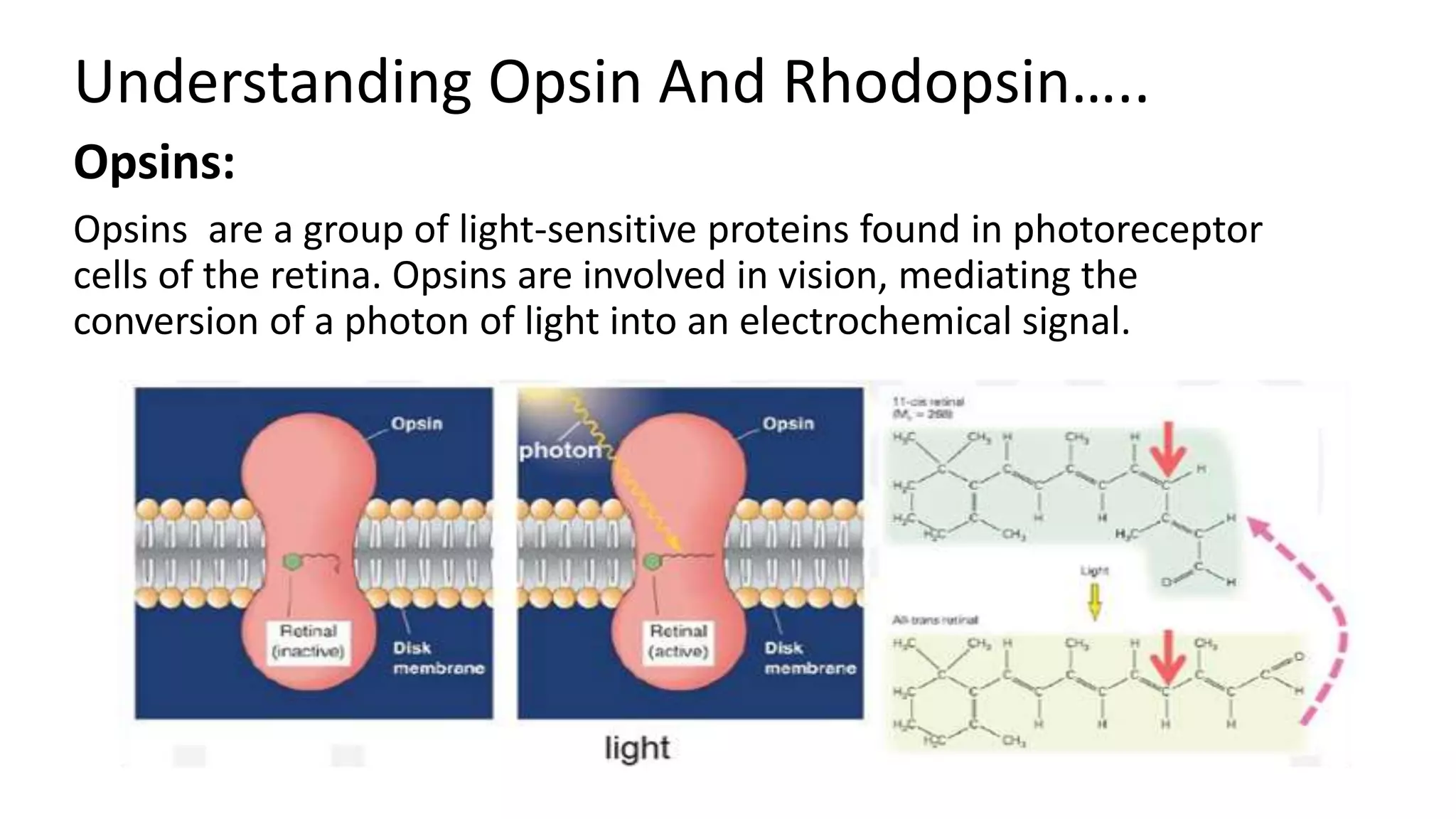 Optogenetics | PPTX