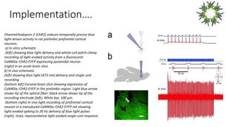 Optogenetics | PPTX