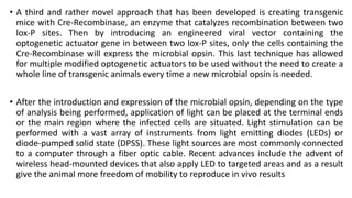 Optogenetics | PPTX