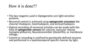 Optogenetics | PPTX