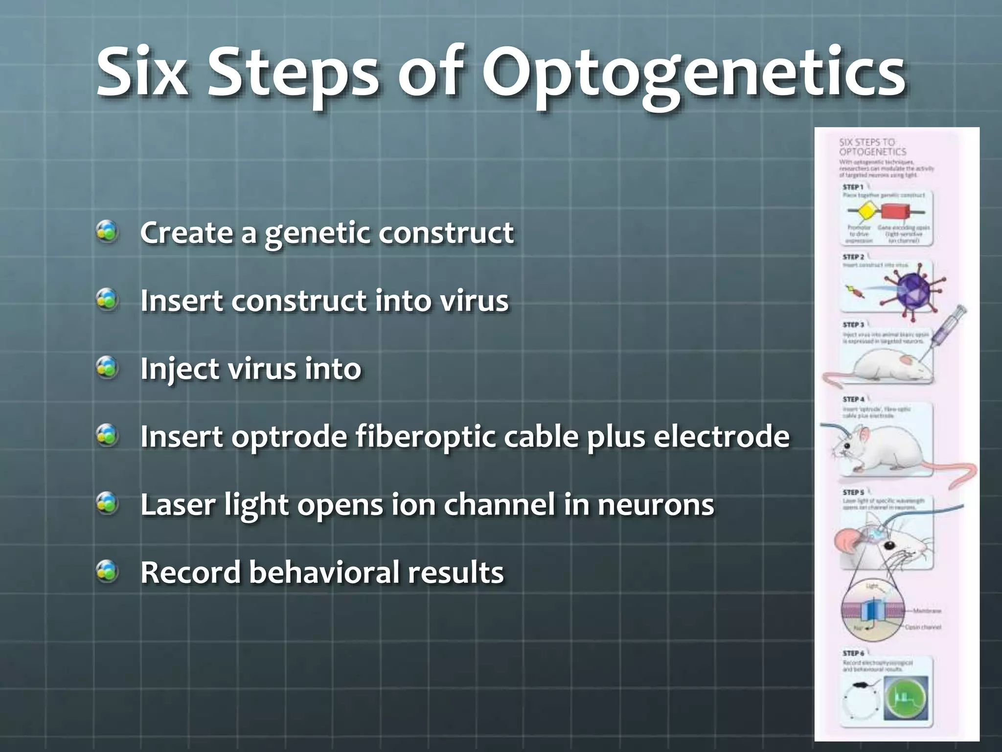 Optogenetics a light switch for brain | PPT