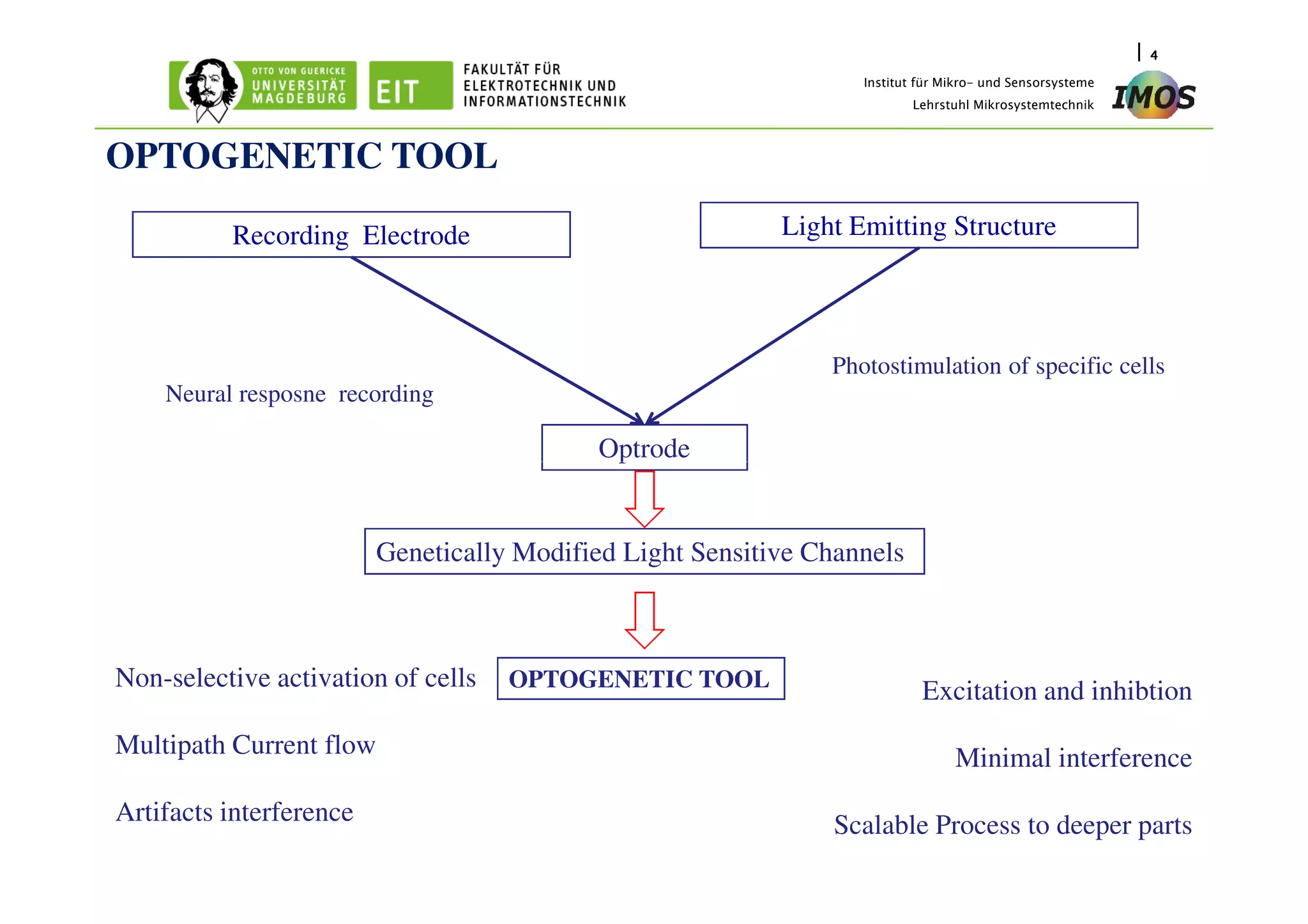 Optogenetics -Public presentation | PDF