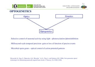 Optogenetics -Public presentation | PDF