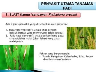 MATERI PENYULUHAN TENATNG ORGANISME PENGGANGGU TANAMAN PADI | PPT