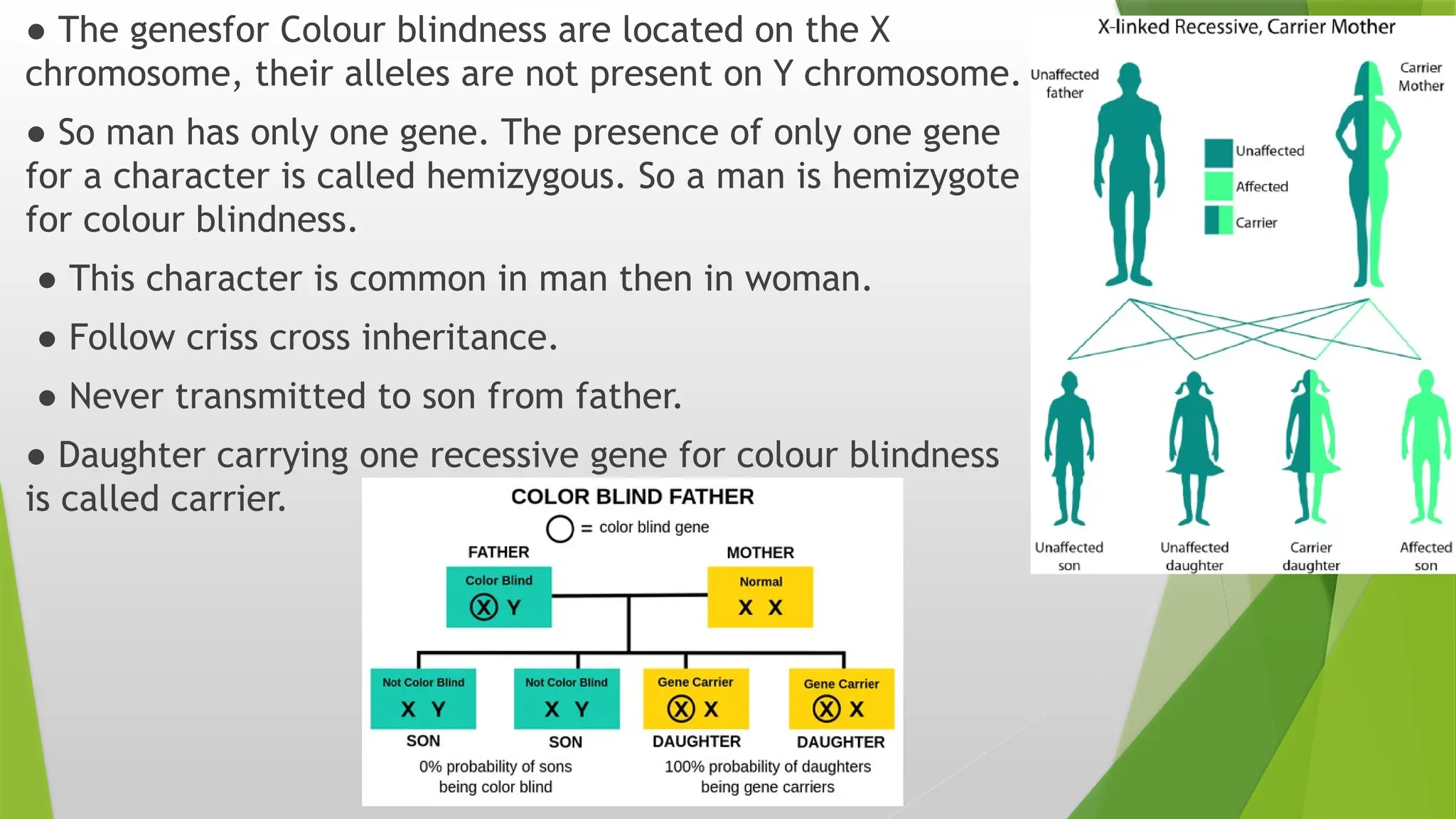 Opt science(Heridity).pptx..... . ..... | PPTX