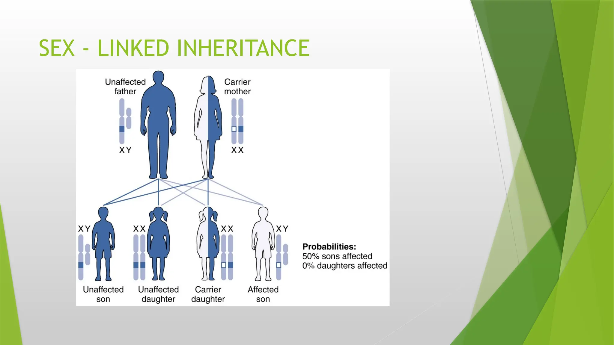 Opt science(Heridity).pptx..... . ..... | PPTX