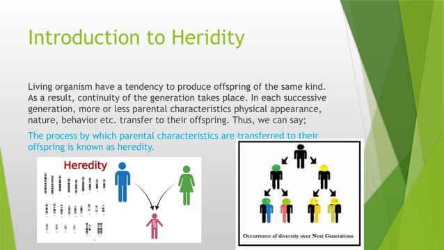 Opt science(Heridity).pptx..... . ..... | PPT