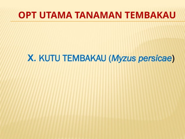OPT Tanaman Tembakau dan Penangannya.pptx