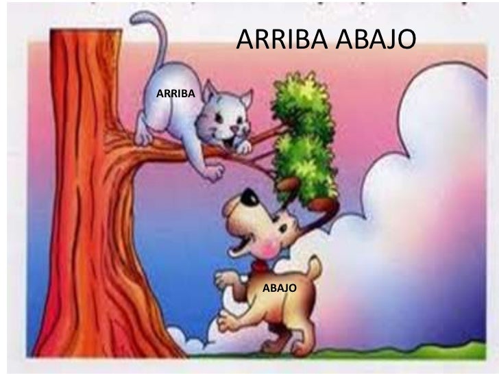 La Palabra Del Dia: "arriba" | SpanishDictionary.com Answers