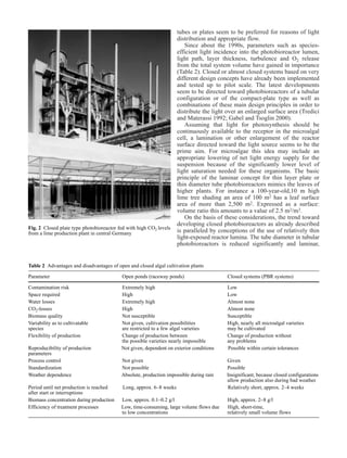 O pulz photobioreactor_productionsystem | PDF | Biotech and Biomedical ...