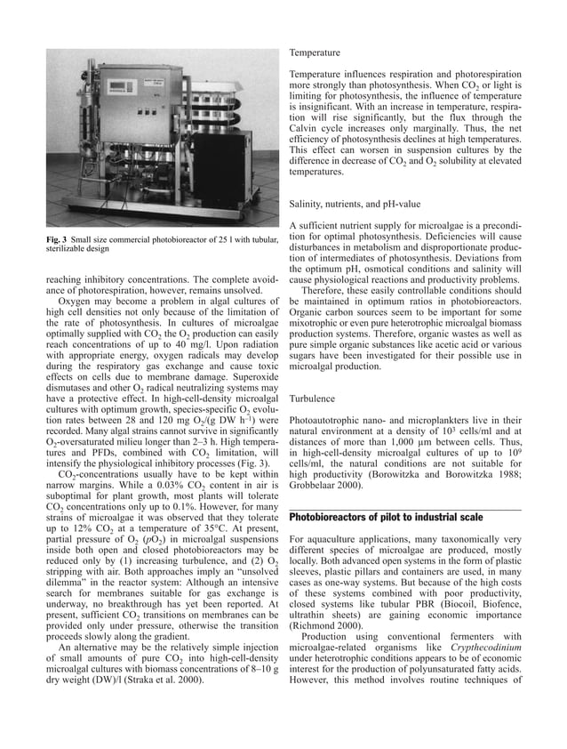 O pulz photobioreactor_productionsystem | PDF | Biotech and Biomedical ...