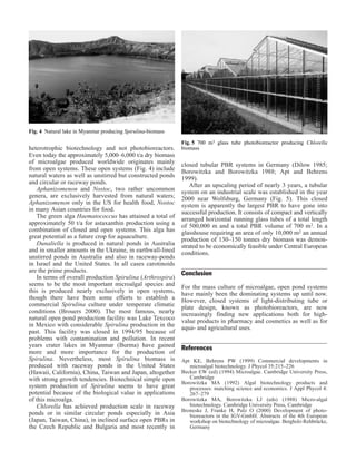 O pulz photobioreactor_productionsystem | PDF | Biotech and Biomedical ...