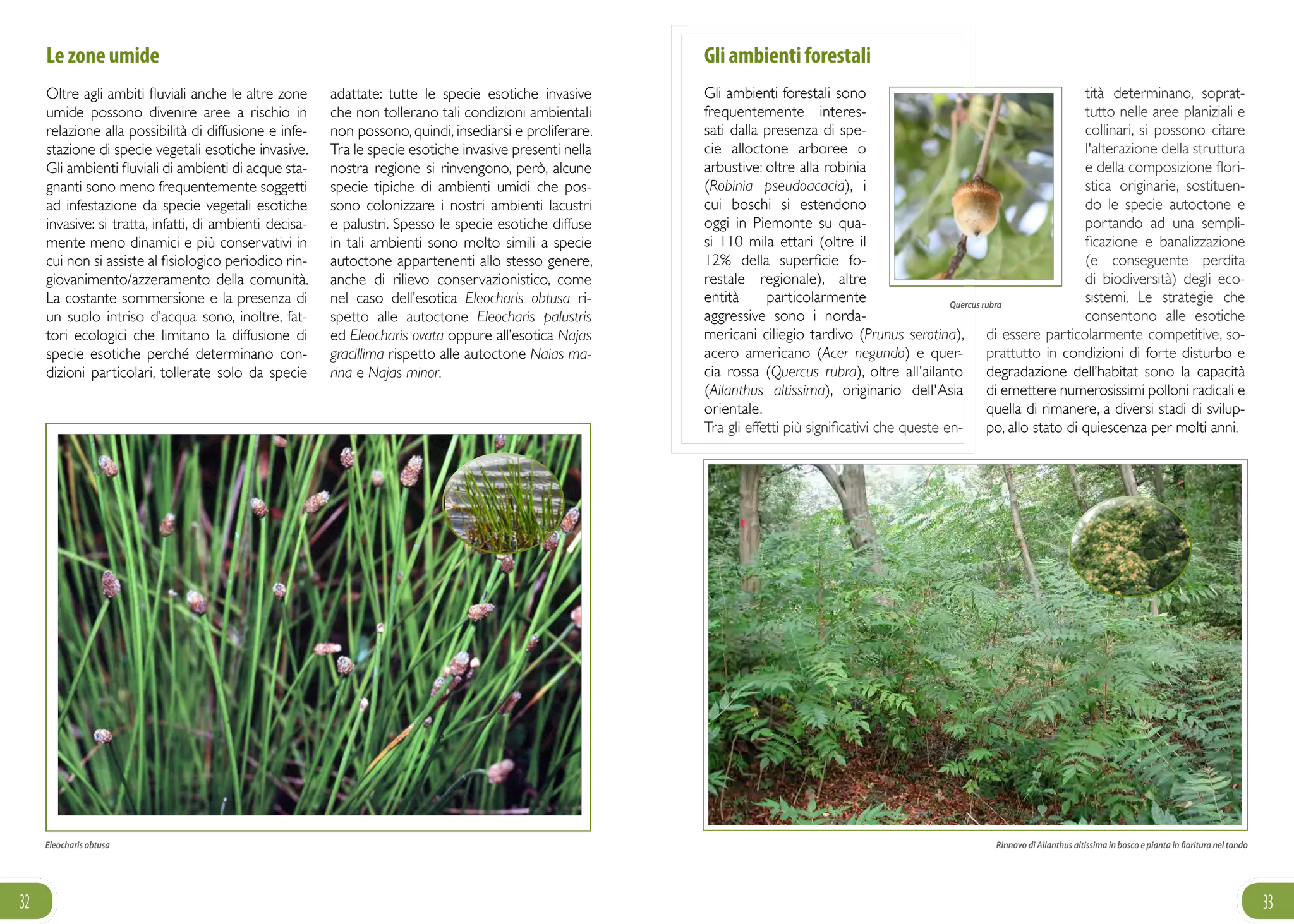 Piante esotiche invasive Piemonte Parchi | PDF
