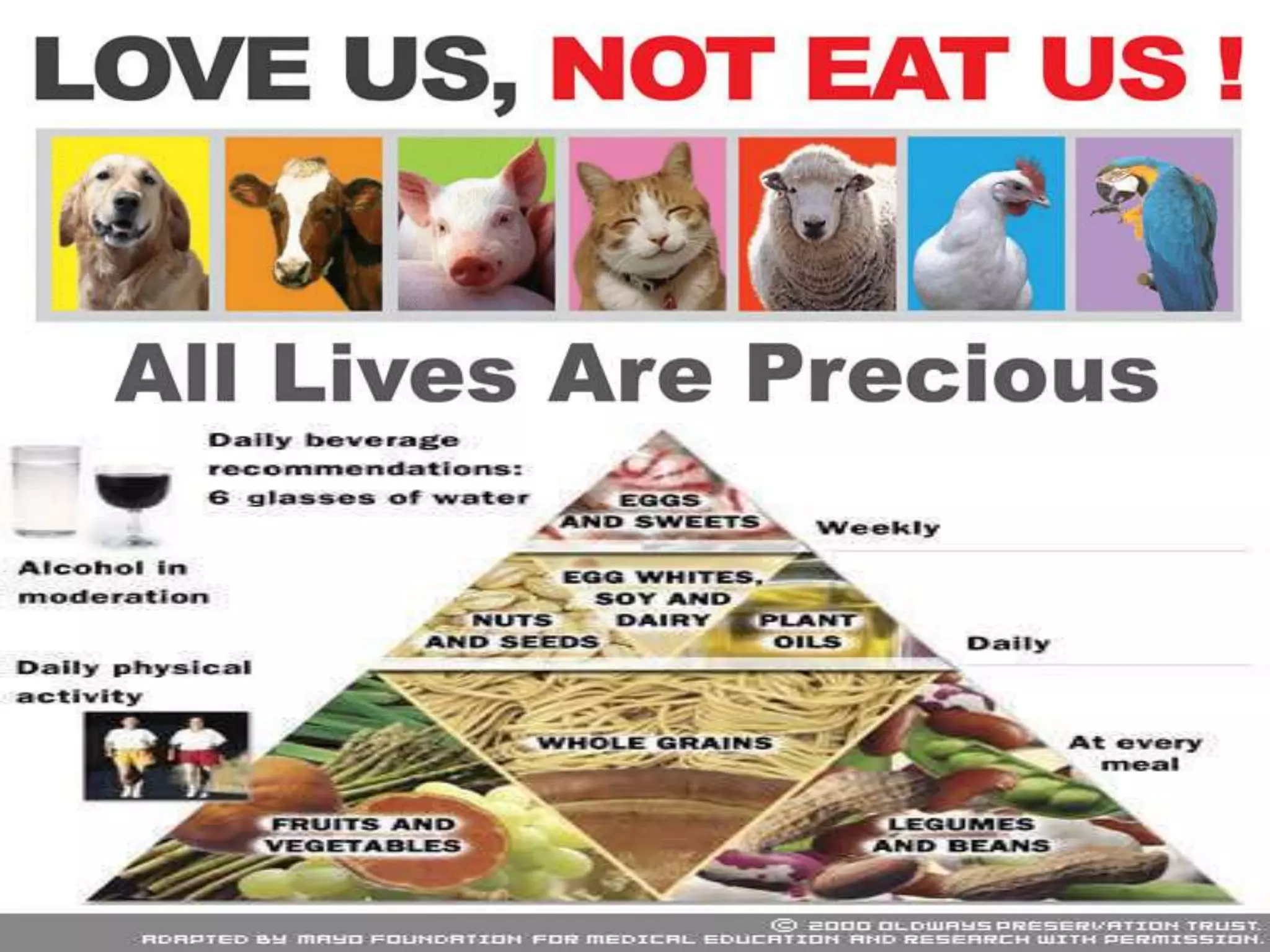 OPVL and Paper 1: IB History | PPTX