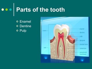 Opy notes (pulp) | PPT
