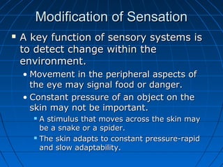Physiology of Special Senses and Perception | PPT