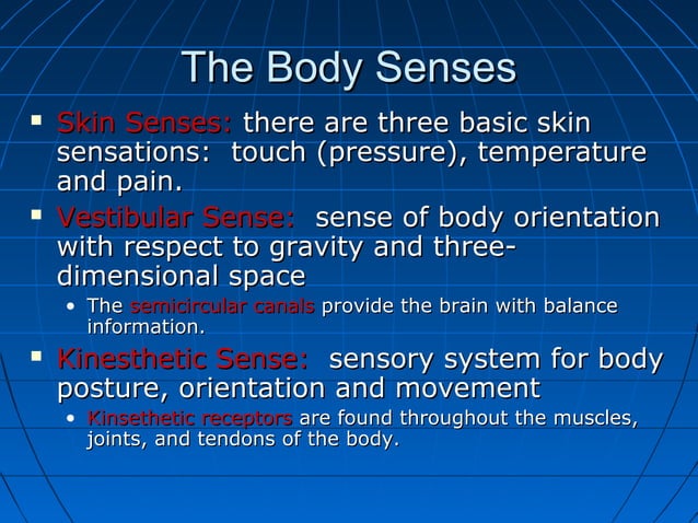 Physiology of Special Senses and Perception | PPT | Brain and Nervous ...