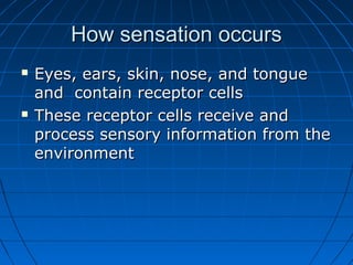 Physiology of Special Senses and Perception | PPT