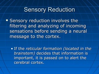 Physiology of Special Senses and Perception | PPT