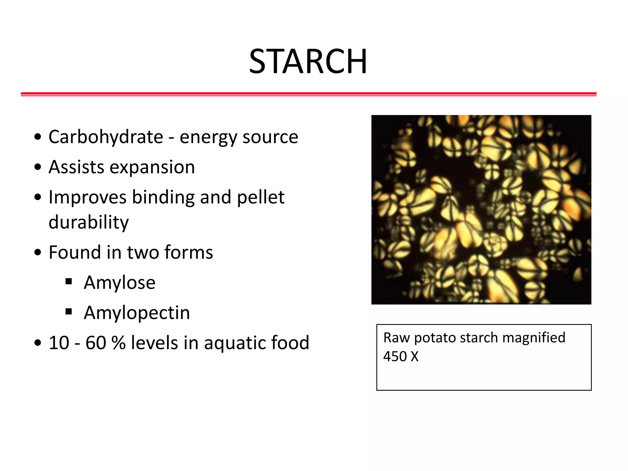 Starch extrusion | PPTX