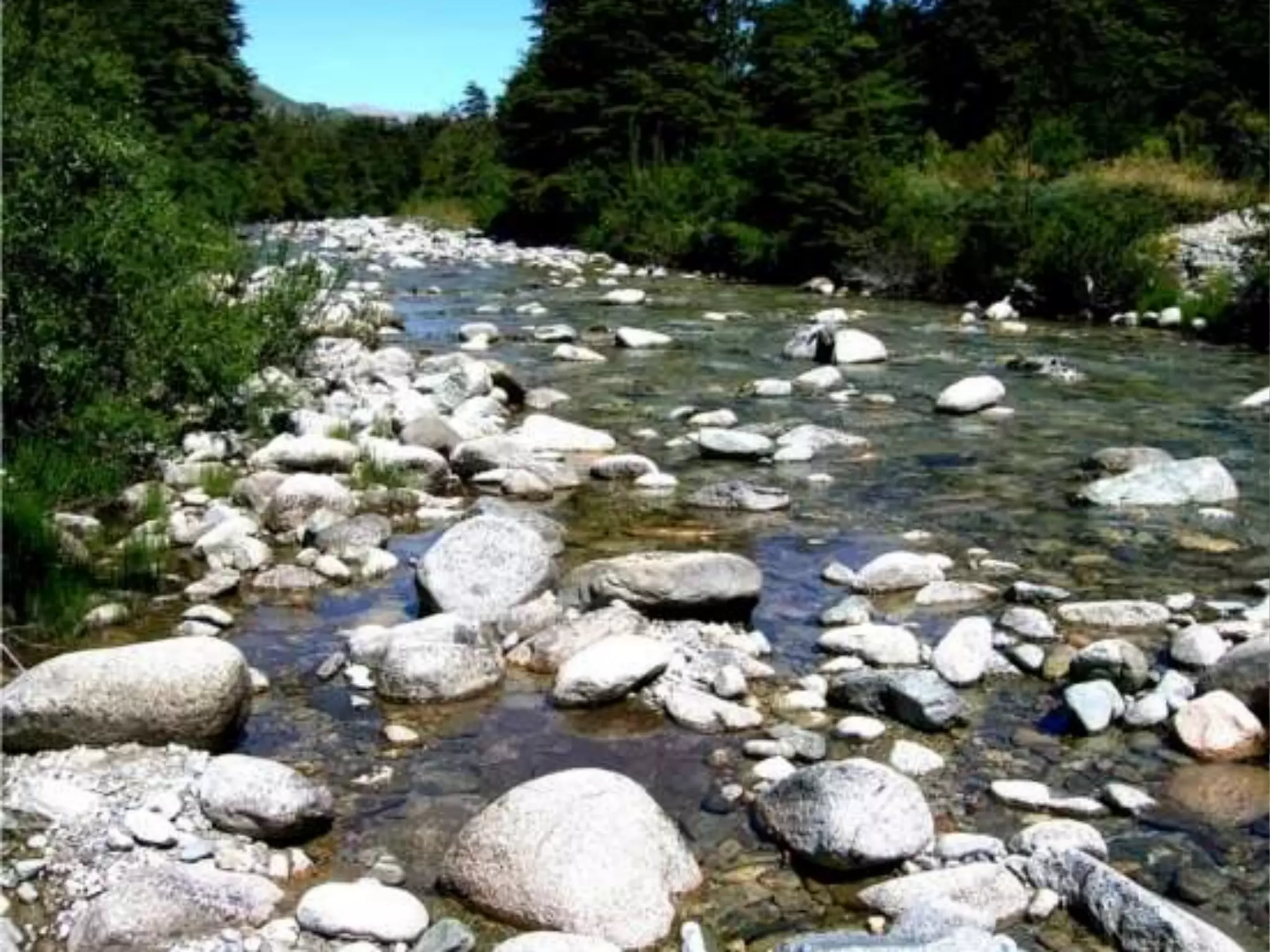 The Obstacle River | PPTX