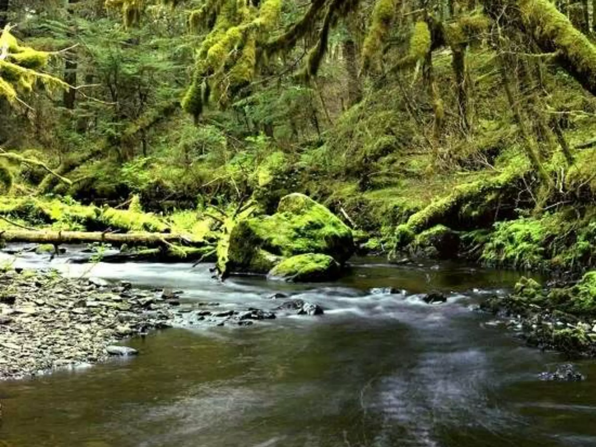 The Obstacle River | PPTX