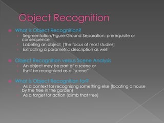Object recognition | PPTX