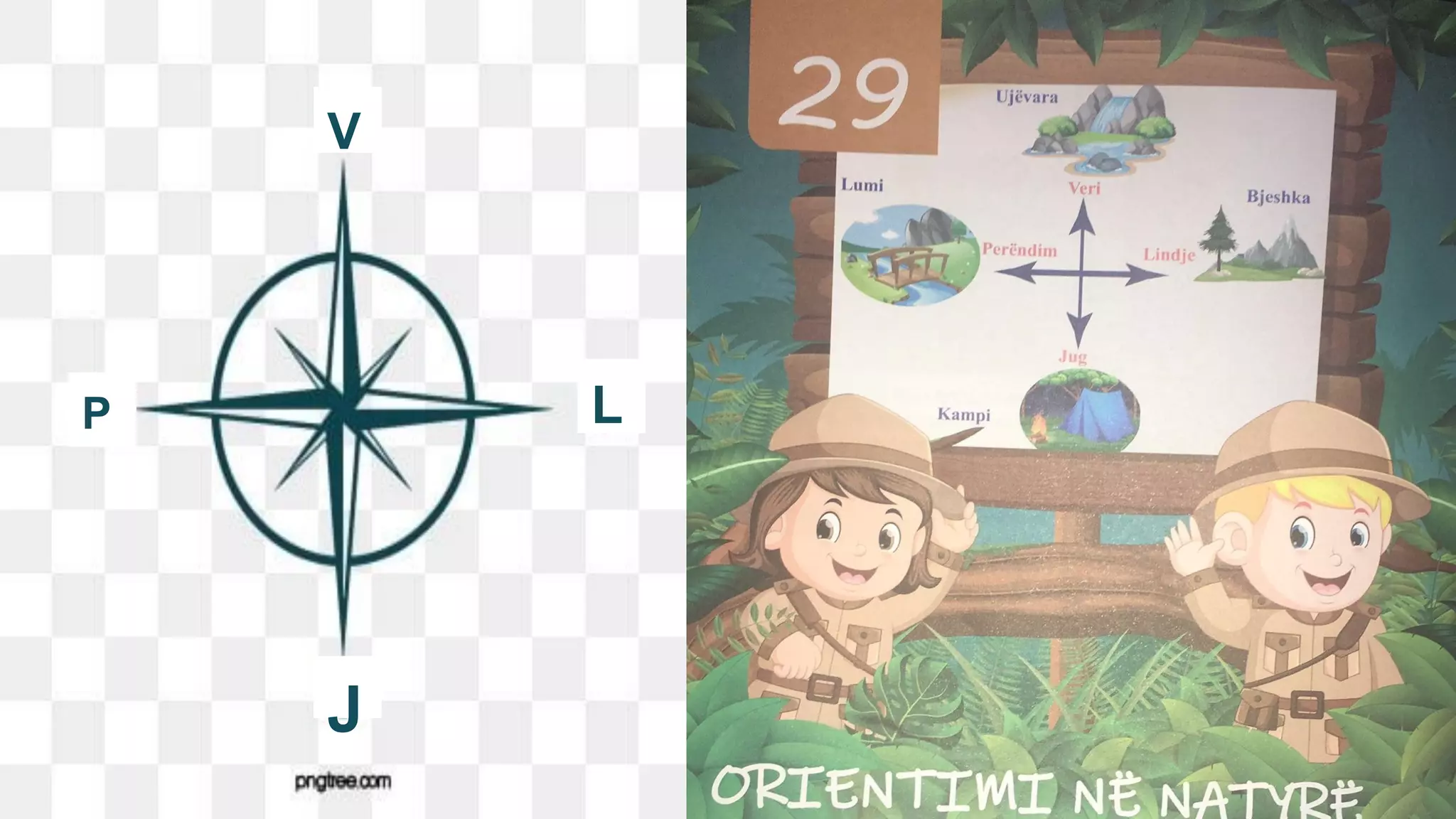 Orientimi në natyrë | PDF