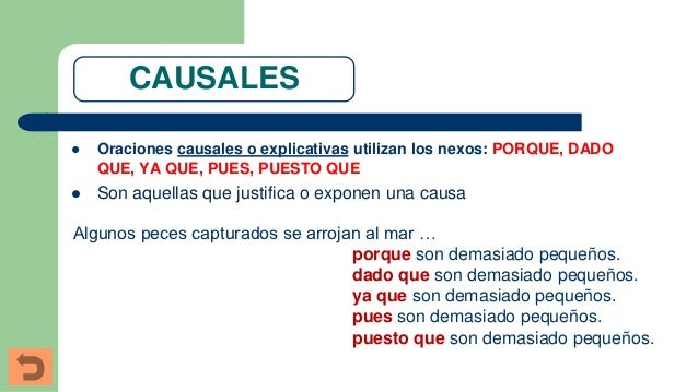Ejemplos De Oraciones Causales - abstractor