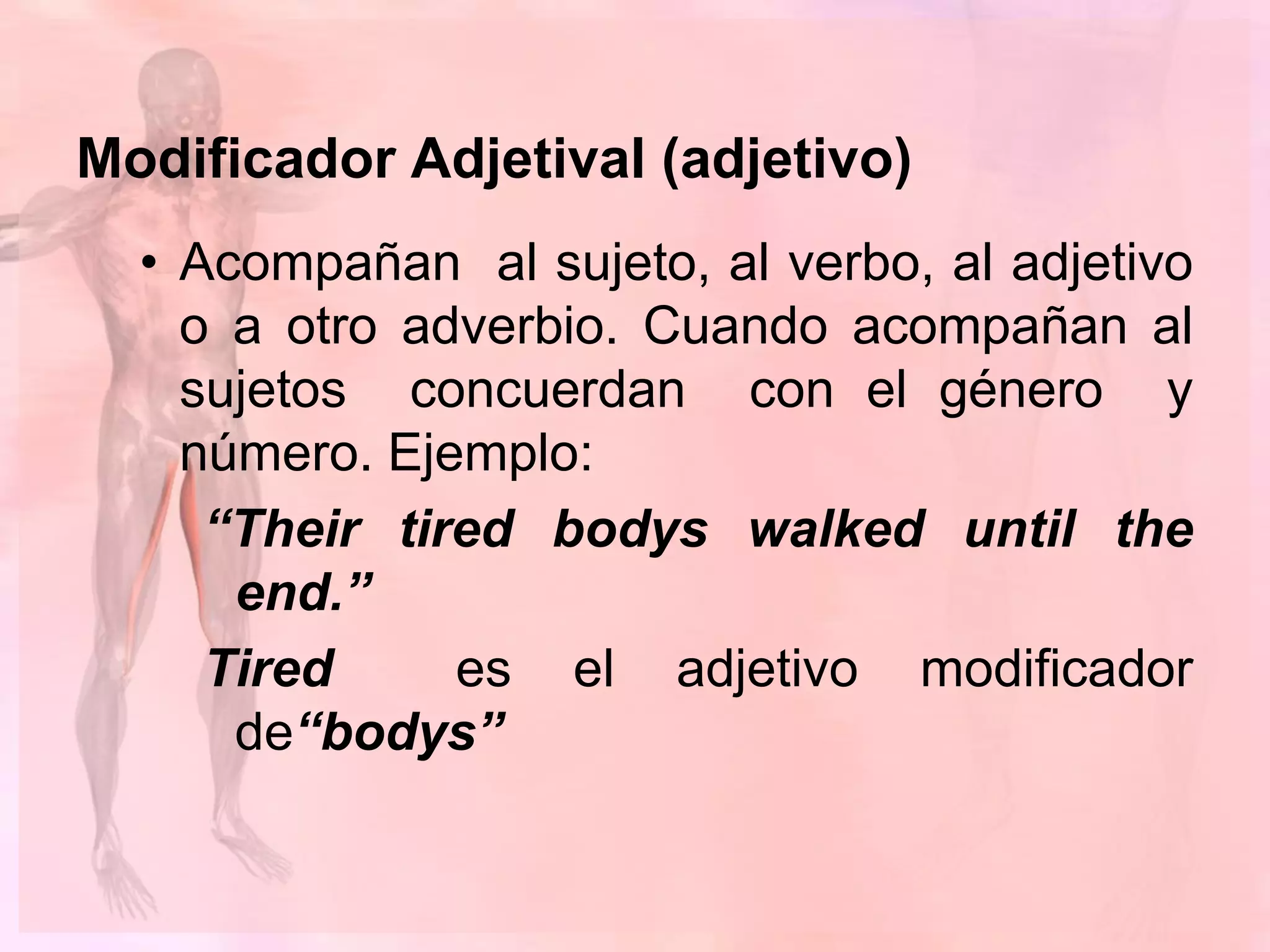 Oracion tipos (1) | PPTX | Lung and Respiratory Health | Diseases and Conditions