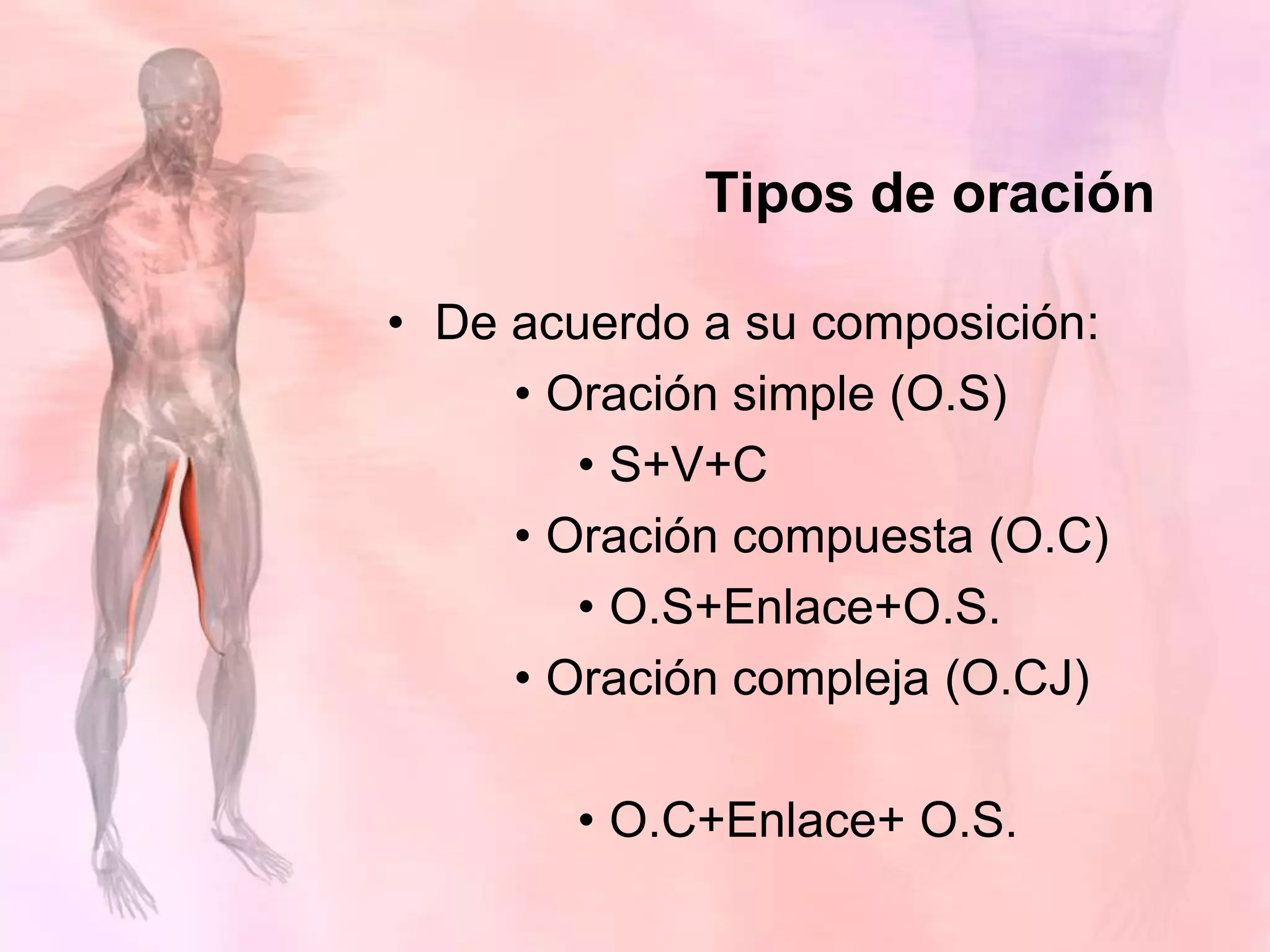 Oracion tipos (1) | PPTX | Lung and Respiratory Health | Diseases and Conditions