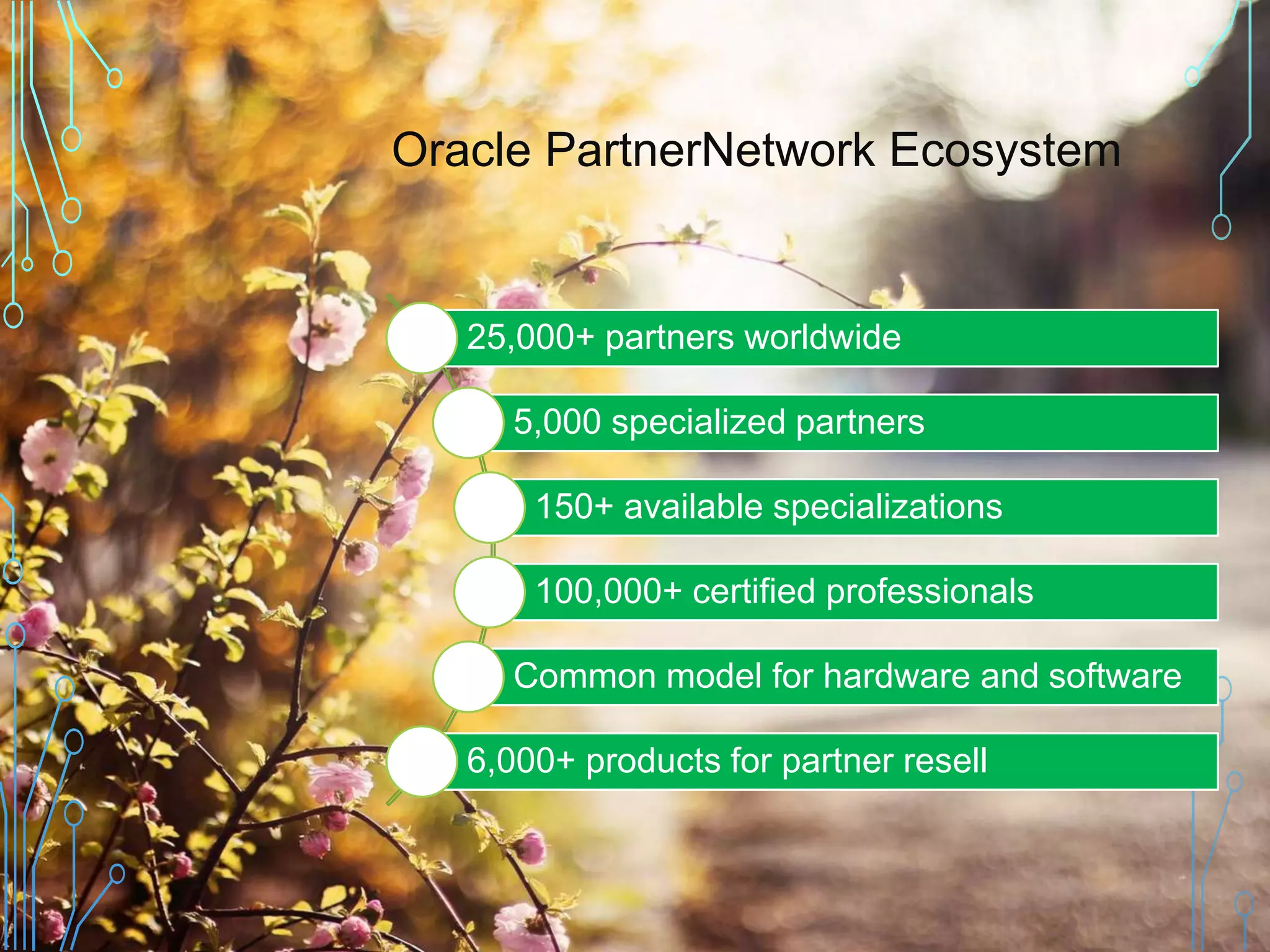 Distribution Channels of Oracle | PPT