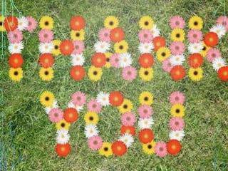 Distribution Channels of Oracle | PPT