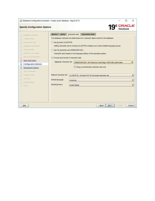 Oracle Database 19c (19.3) Installation on Windows (Step-by-Step) | DOCX | Databases | Computer ...
