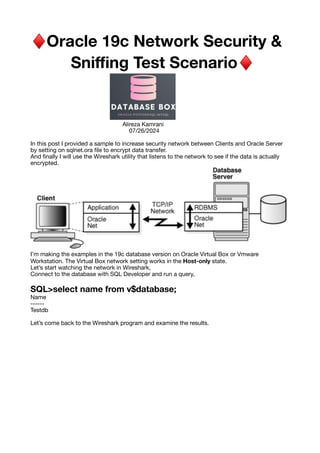 Oracle 19c Network Security & Sniffing Test Scenario | PDF | Computer ...