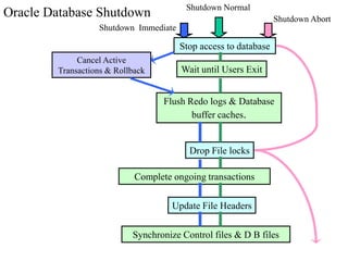 ORACLE ARCHITECTURE | PDF