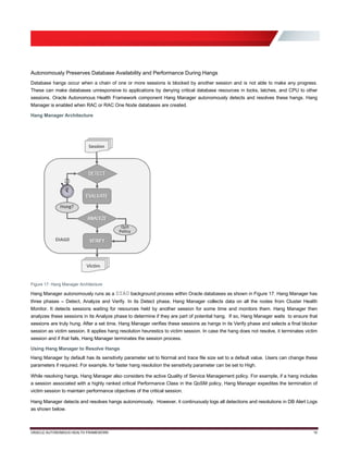 Oracle Autonomous Health Framework (AHF) White Paper | PDF