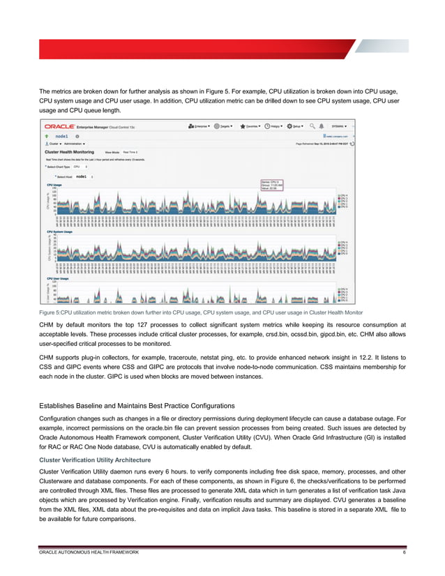 Oracle Autonomous Health Framework (AHF) White Paper | PDF