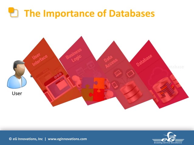 Oracle database performance monitoring diagnosis and reporting with EG ...