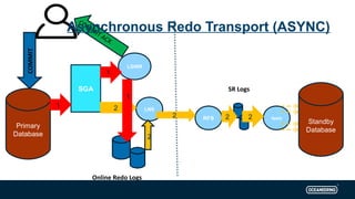 Oracle Dataguard | PPT | Databases | Computer Software and Applications