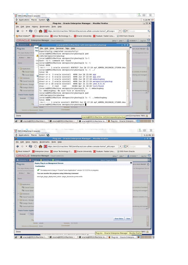 Oracle EMC 12 Installation | PDF