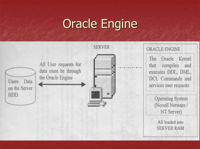 Oracle Intro.ppt | Databases | Computer Software and Applications