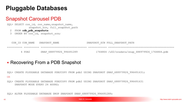 Oracle_Multitenant_19c_-_All_About_Pluggable_D.pdf