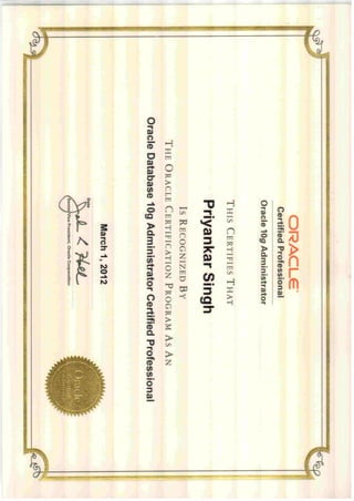Oracle Database 10g Certified Professional | PDF