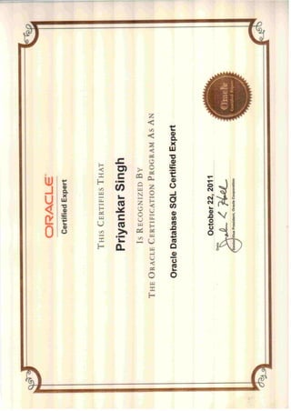 Oracle Database SQL Expert | PDF