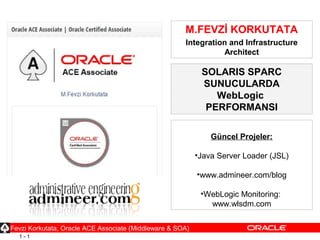 Solaris Sparc Sunucularda WebLogic Performansı | PPT