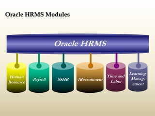 Oracle work Structure PPT.pptx