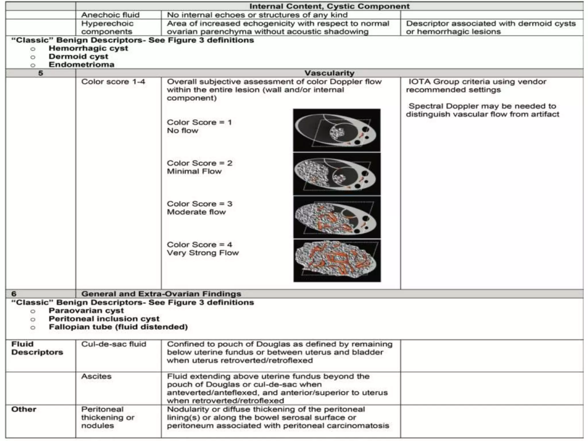 O'rads Radiology 2020 | PPTX