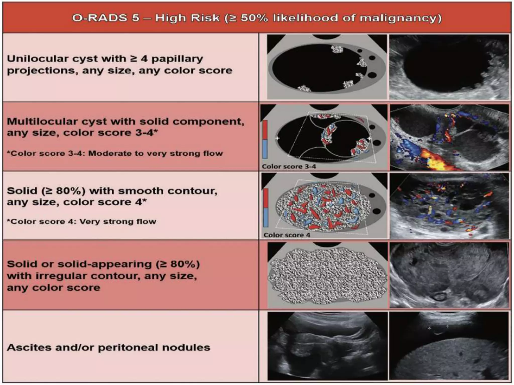 O'rads Radiology 2020 | PPTX
